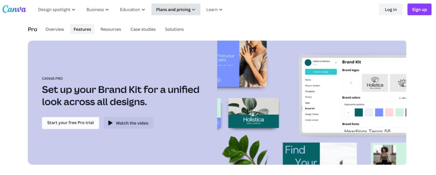 10 Must-Know Canva Pro Features to Create Stunning Graphics