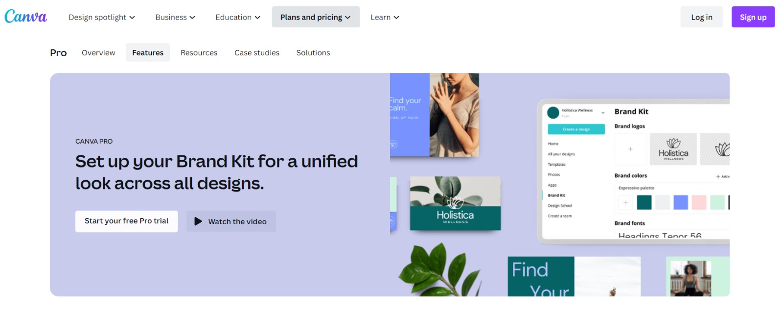 10 Must-Know Canva Pro Features to Create Stunning Graphics
